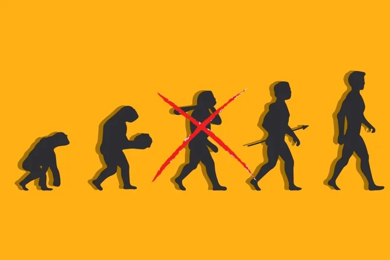 No, los humanos no descendemos exactamente de un «gran simio» - Epoch ...